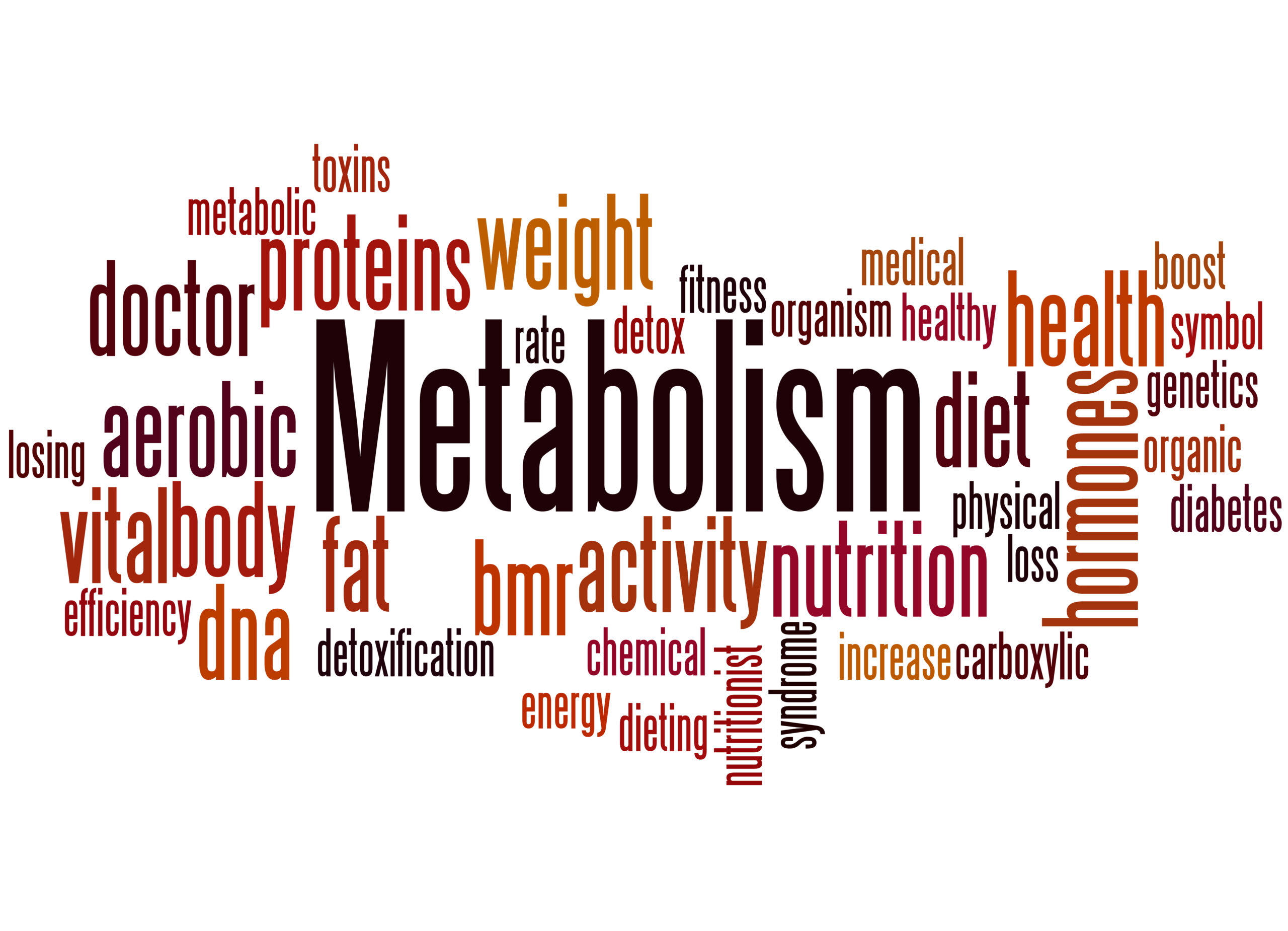 The Role of Metabolism in Weight Loss: Understanding BMR and Ways to ...